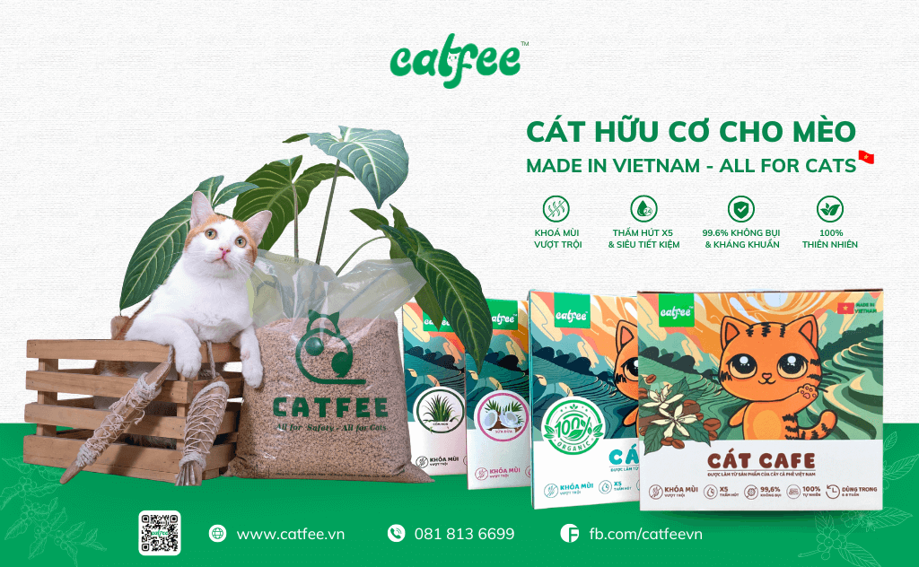 Cát gỗ cho mèo Catfee™ - Cát Hữu Cơ An Toàn Cho Mèo Made In Vietnam